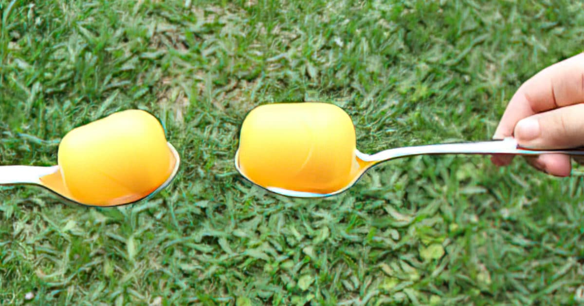 EIERLAUFEN (MIT KARTOFFELN ODER BONBON) ⋆ Kindergeburtstag Planen